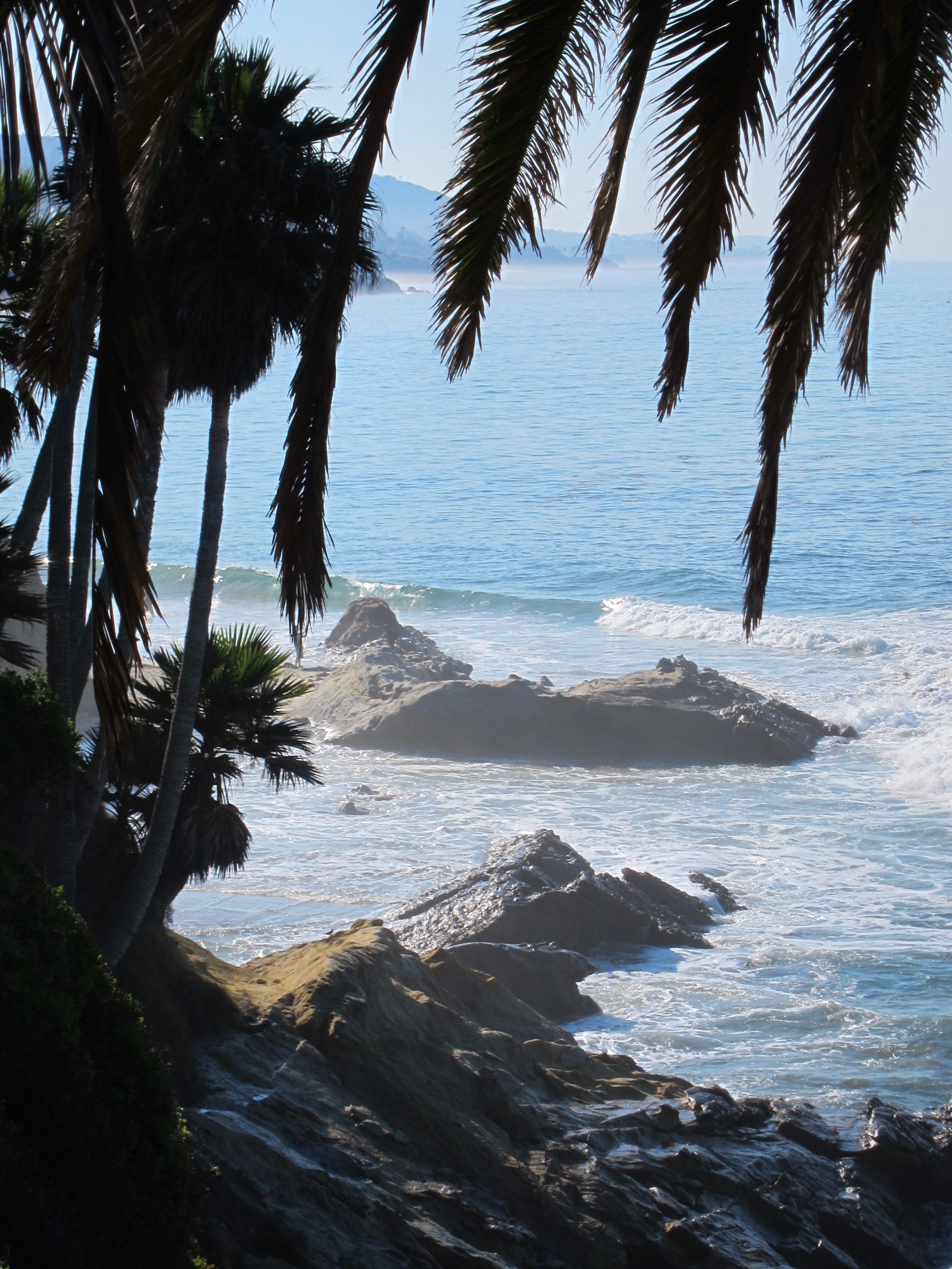 Fun Things To Do In Orange County This Weekend Jan 24 26 Things To fun-things-to-do-in-orange-county-this-weekend-jan-24-26-things-to