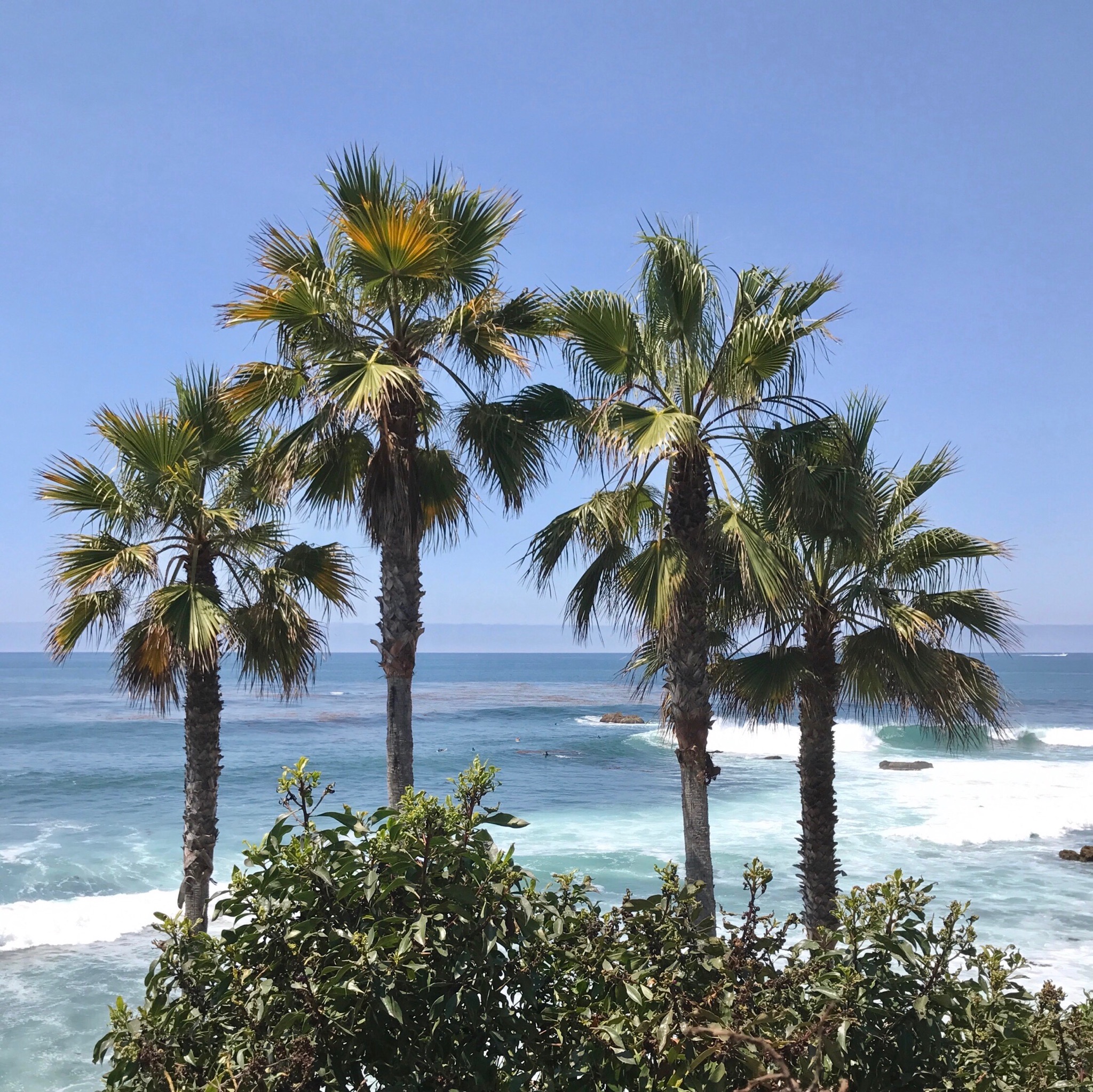 24 Fun Events In Orange County This Weekend Things To Do In Orange County 24-fun-events-in-orange-county-this-weekend-things-to-do-in-orange-county
